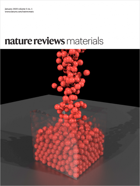 Lindsay Riley, PhD | Duke University - Segura Lab