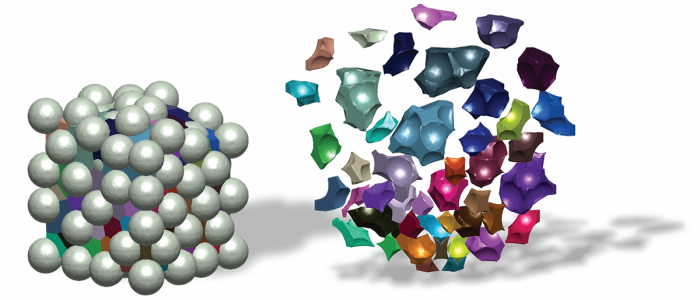 Lindsay Riley, PhD | Duke University - Segura Lab